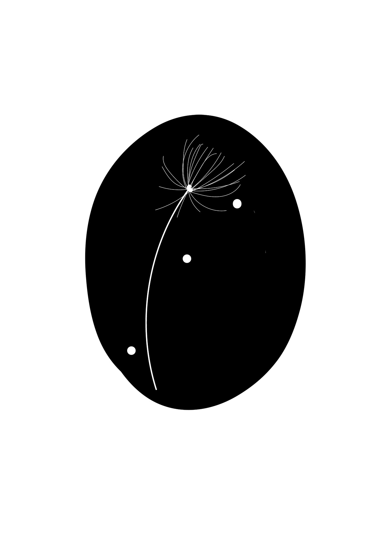 The Search (Poem) – Thy Vox